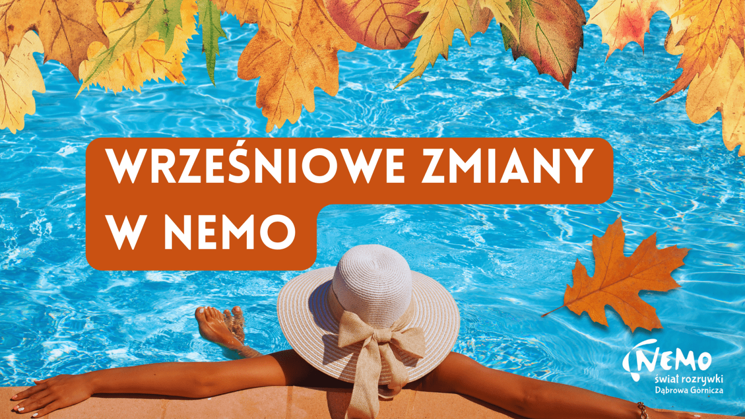 Wracamy do stałego rytmu – zmiany od 1 września w Nemo – NEMO Świat ...